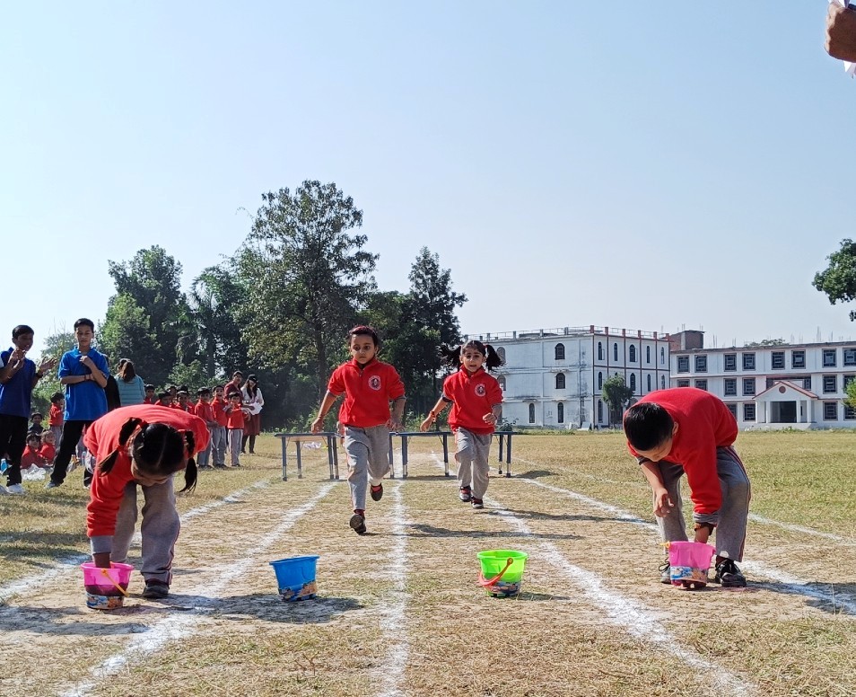 Kelvin International School Dehradun - Co-Curricular Activities